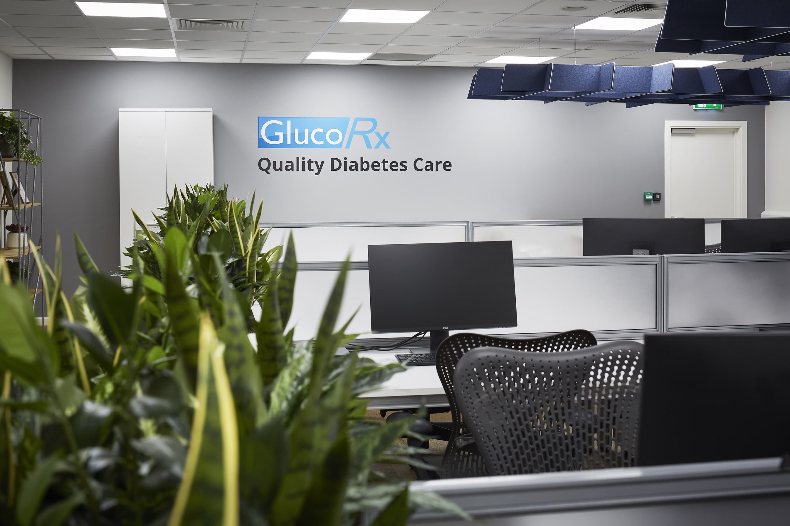 Office Design & Build Guildford | Gluco RX | Rhino